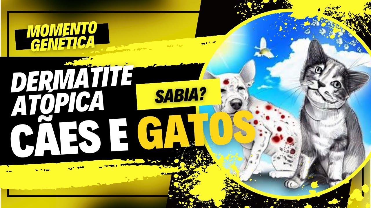 Dermatite Atópica em Cães e Gatos: Aspectos gerais e Genéticos - YouTube