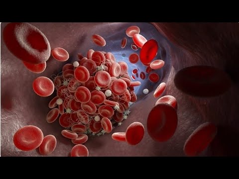 Structure and Function OF RBCs / Philadelphia University - YouTube