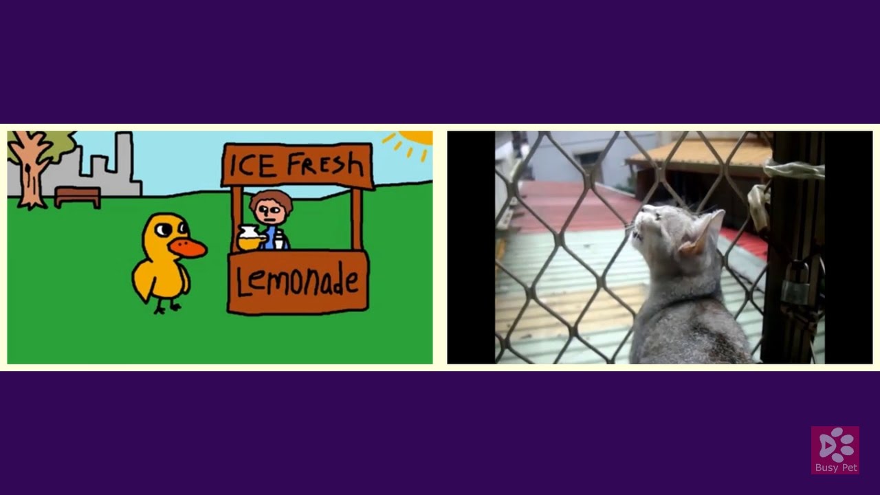 Cats Meowing THE DUCK SONG (very short excerpt) (Acapella) - YouTube