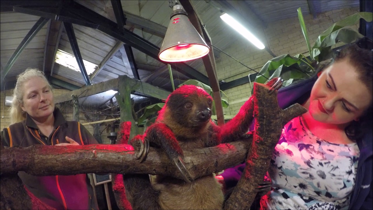 Heythrop Zoological Gardens | Fasci Garden