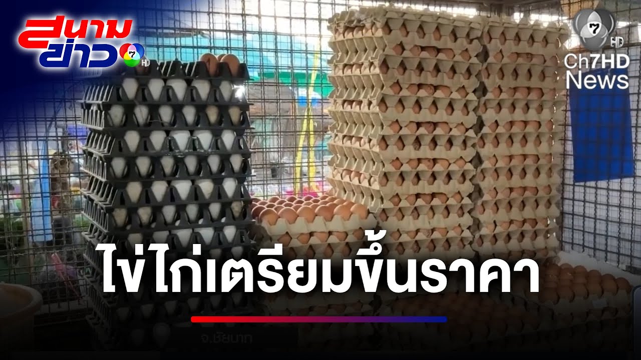 ไข่ไก่จ่อขึ้นราคา ผลกระทบจากพิษโรคระบาด-น้ำท่วม | สนามข่าว 7 สี - YouTube