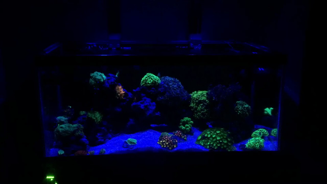Noopsyche K7 Pro led lights at 1% blue - YouTube