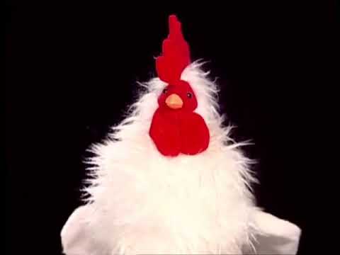 Baby Einstein chicken - YouTube