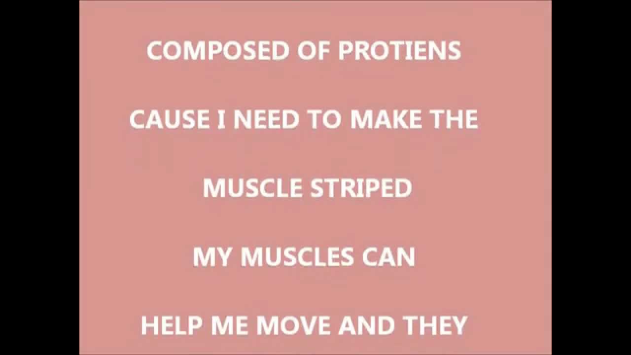Muscles song part one - YouTube
