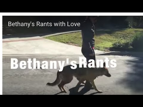 Bethany's Rants with Love - Dogs and People abused by retractable leash ...