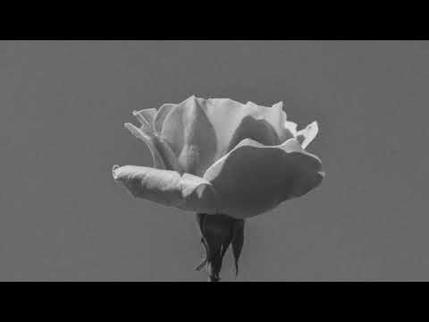 R. Kelly-Half On A Baby