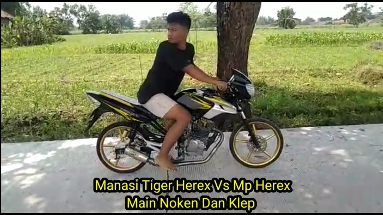 Sensasi Manasi Tiger Herex Vs Mp Herex Standard || Herex Helikopter Kompresi Padat - YouTube