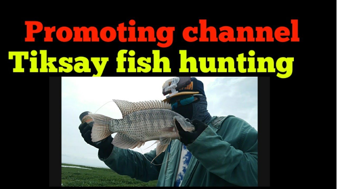Tiksay fish hunting|V#110| Promoting Channel of Tiksay fish hunters in ...