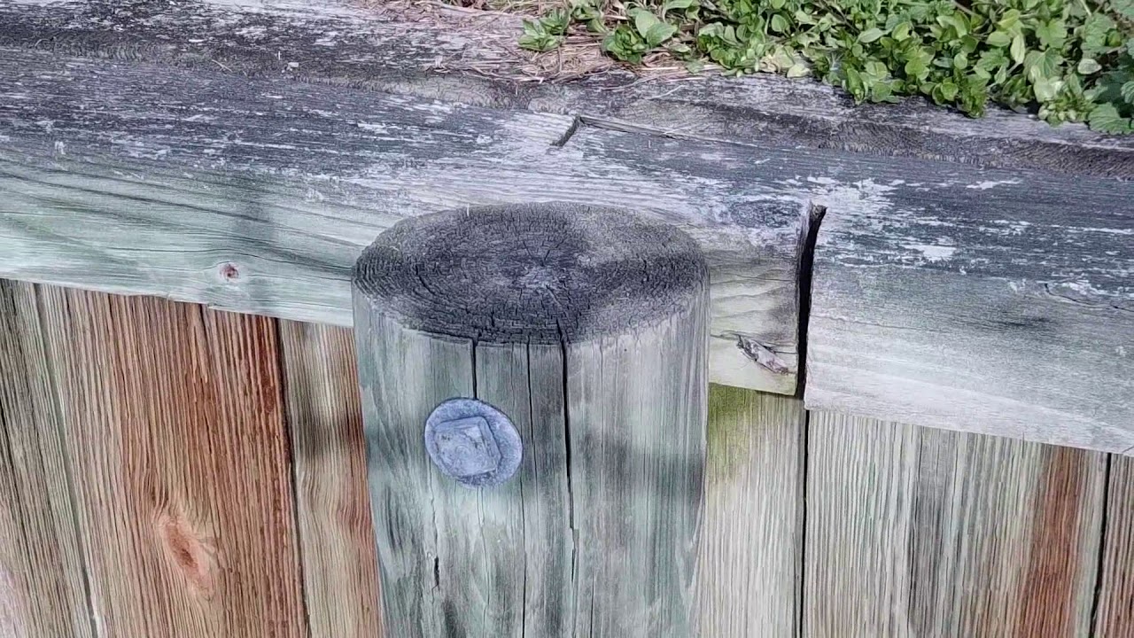 Bulkhead/waterline Inspection - YouTube