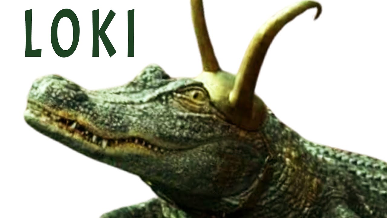 Gator Loki POV story - YouTube