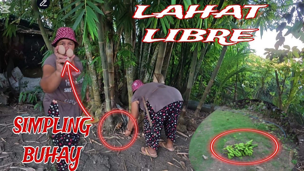 SIMPLING BUHAY LAHAT LIBRE - YouTube