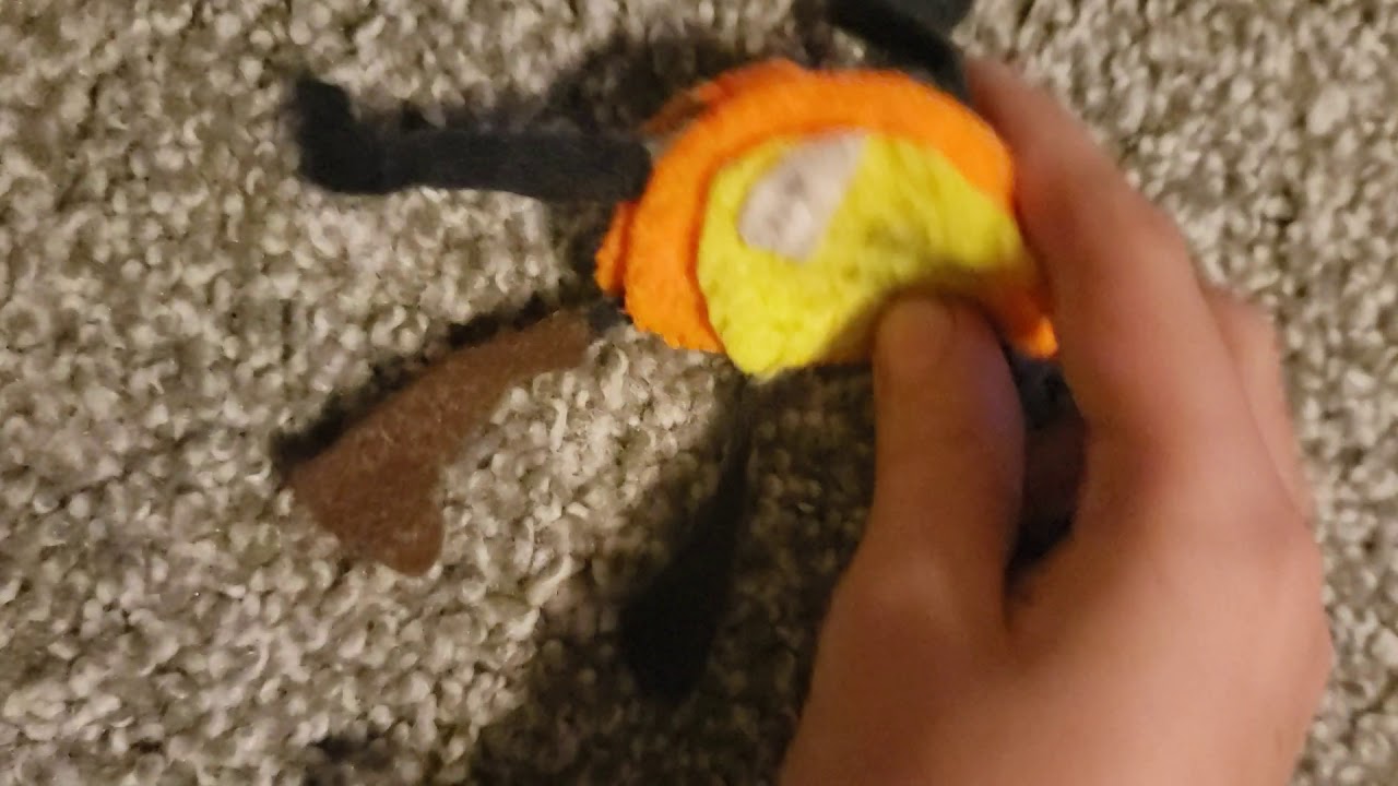 How to eat a cookie - YouTube