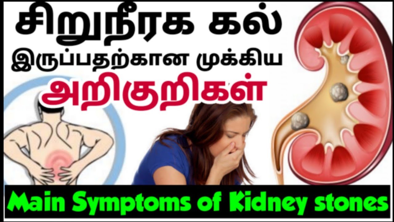 Kidney Stone Symptoms In Tamil Symptoms Of