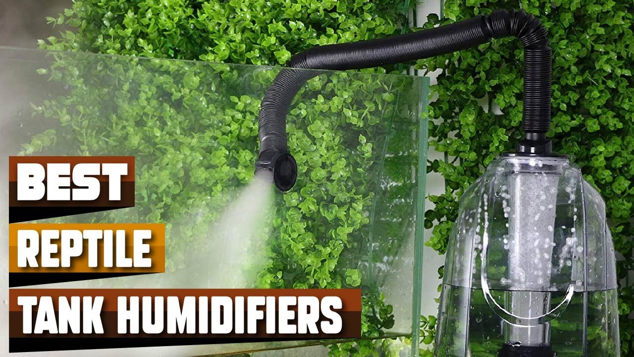Best Selling Reptile Tank Humidifiers in 2024 - YouTube