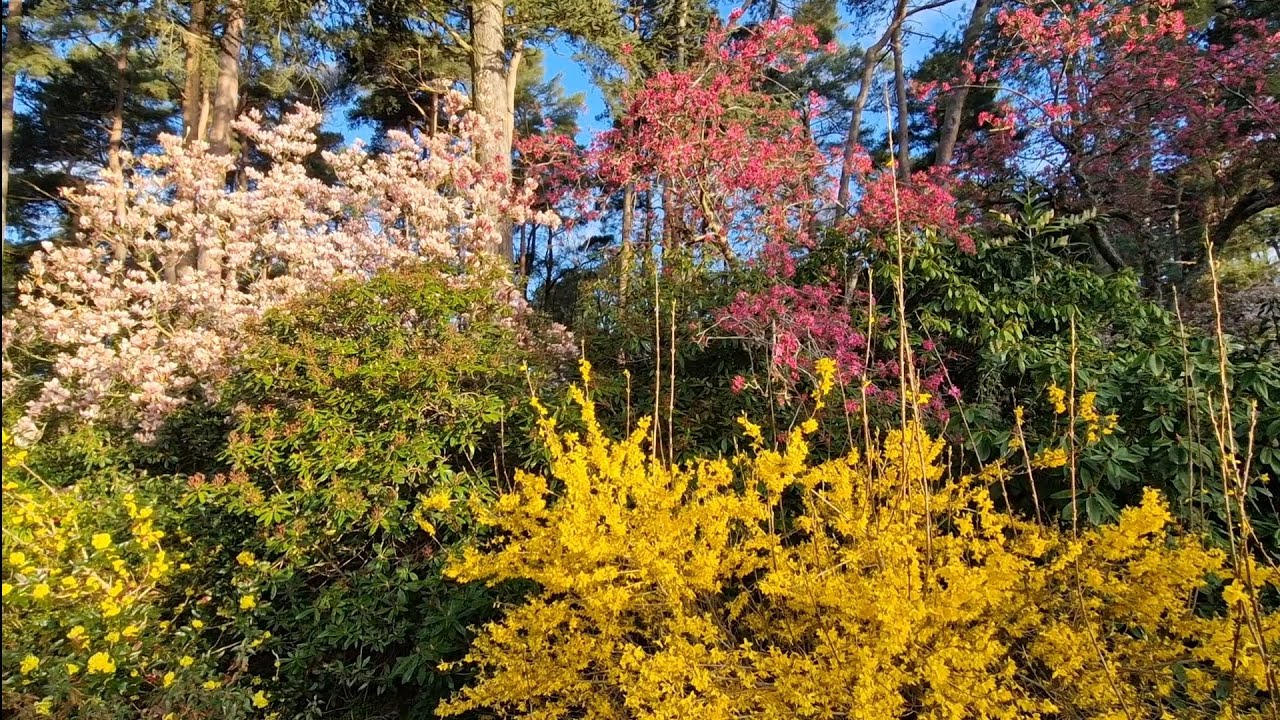 UK Nature Highlights - March to April - YouTube