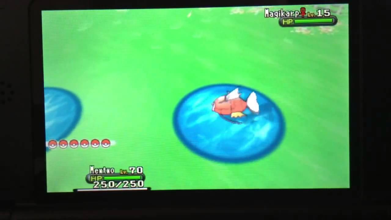 Magikarp too op?Just throw a Master Ball at it Pokemon X - YouTube