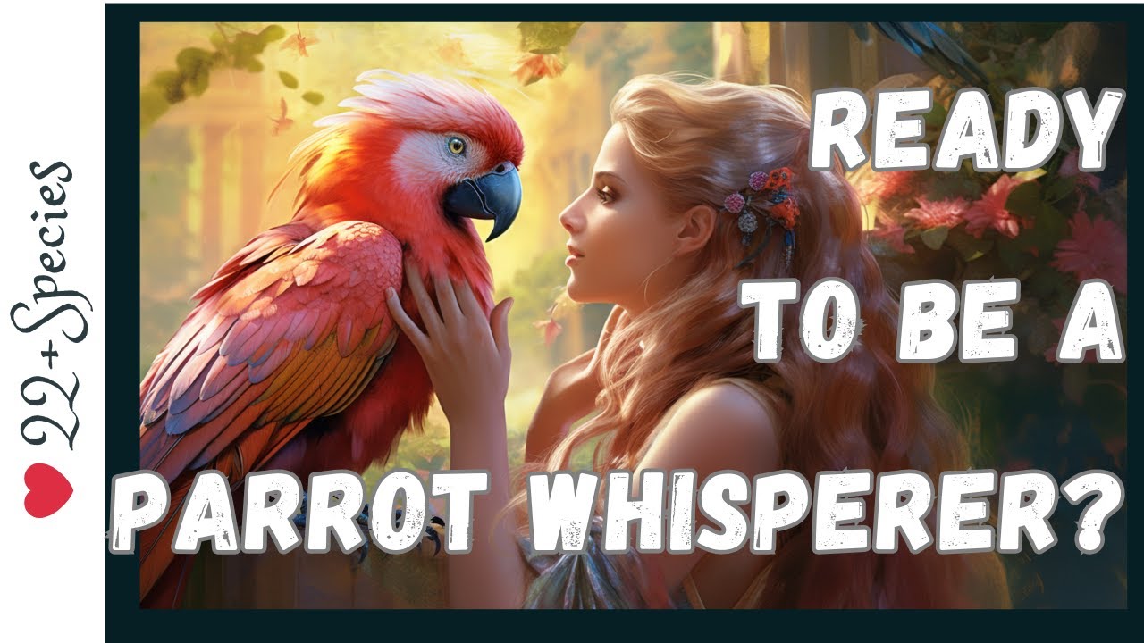 What Does It Take To Become A Parrot Whisperer? | #parrot_bliss #parrot ...