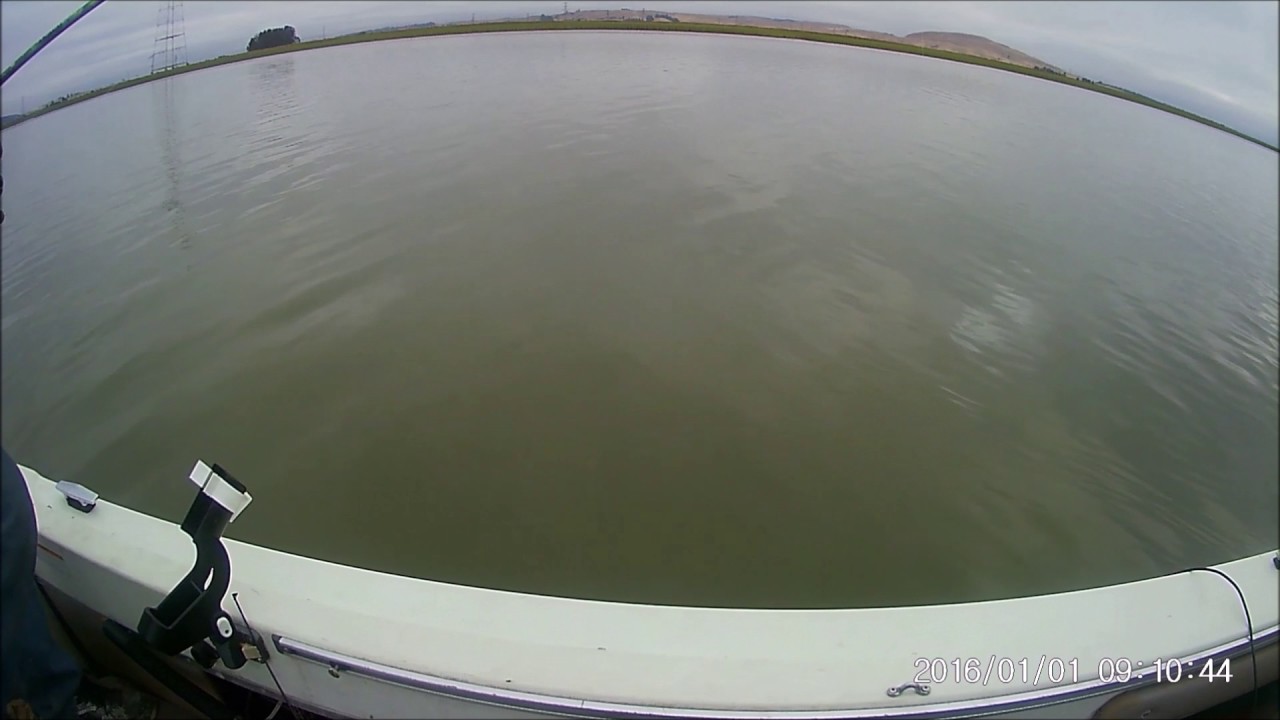 Fishing petaluma river mouth opening - YouTube