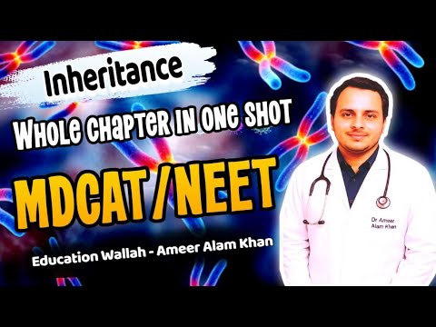 Inheritance in One Shot | MDCAT & NEET | Inheritance One Shot lecture ...