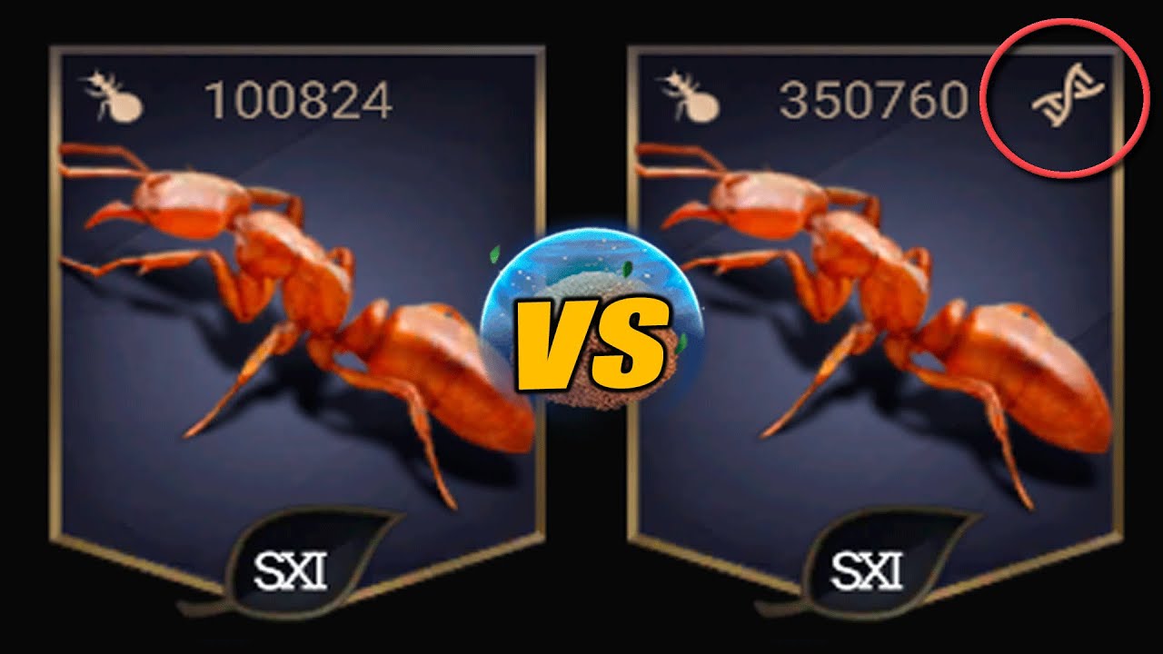 🐜🆚🐜🧬| "SXI" VS "SXI MEJORADAS" | Aplica esto lo antes posible |🌏The ...
