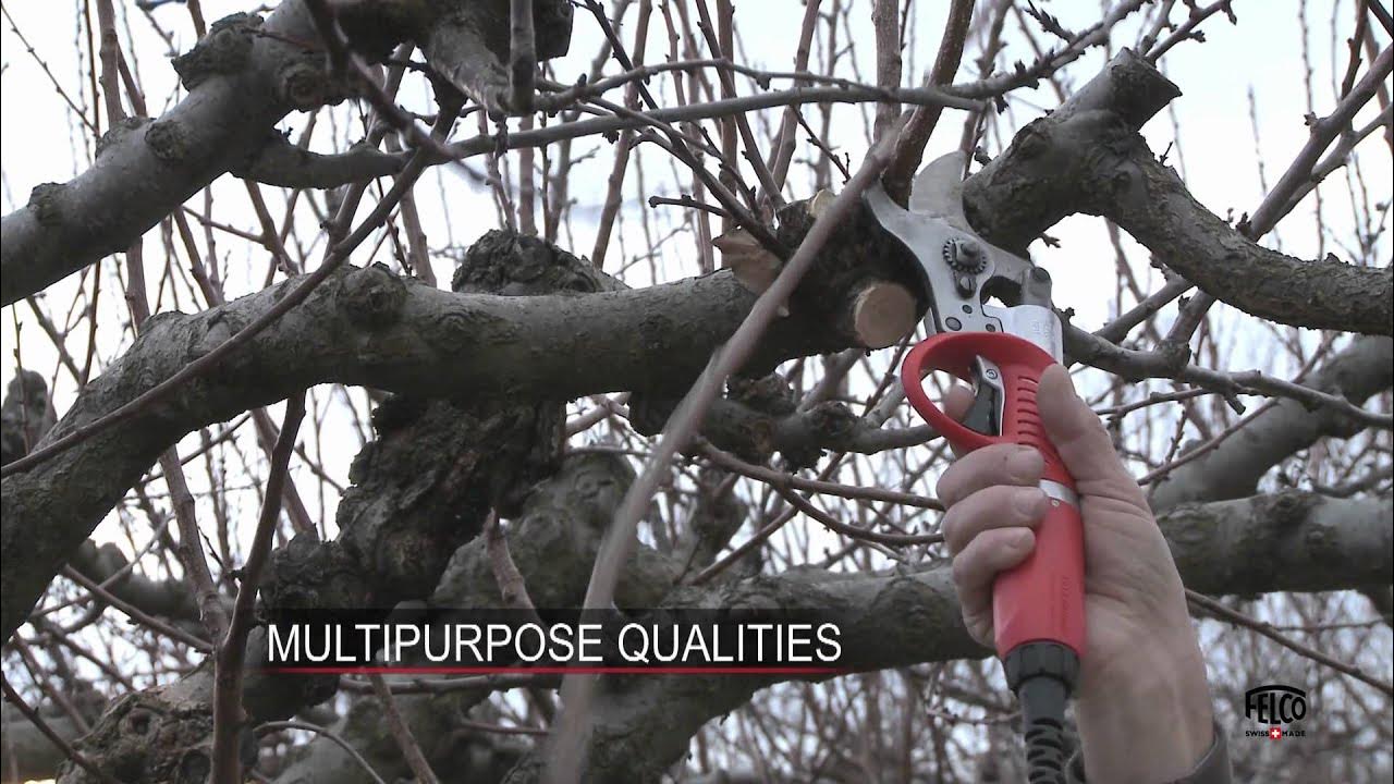 FELCO 820 for arboriculture works - YouTube
