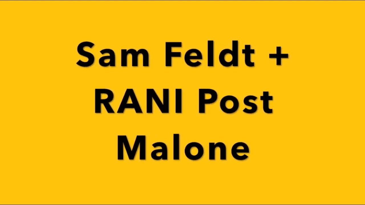 Sam Feldt Featuring RANI Post Malone (OFFICIAL INSTRUMENTAL WITH LYRICS ...