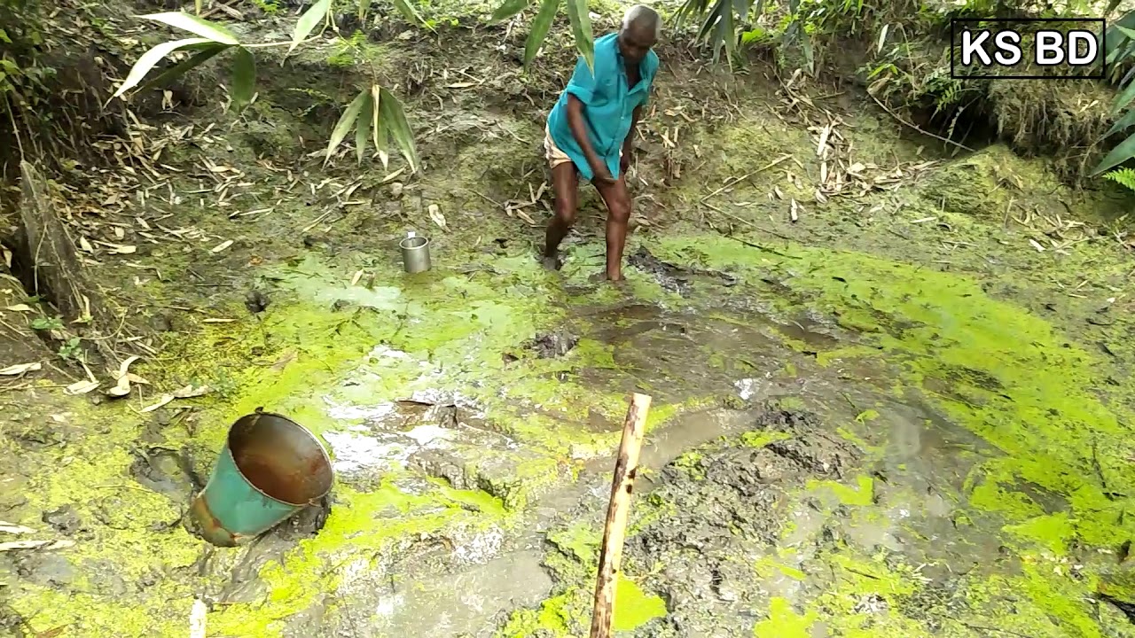 Village Fishing.amazing fishing catching. - YouTube