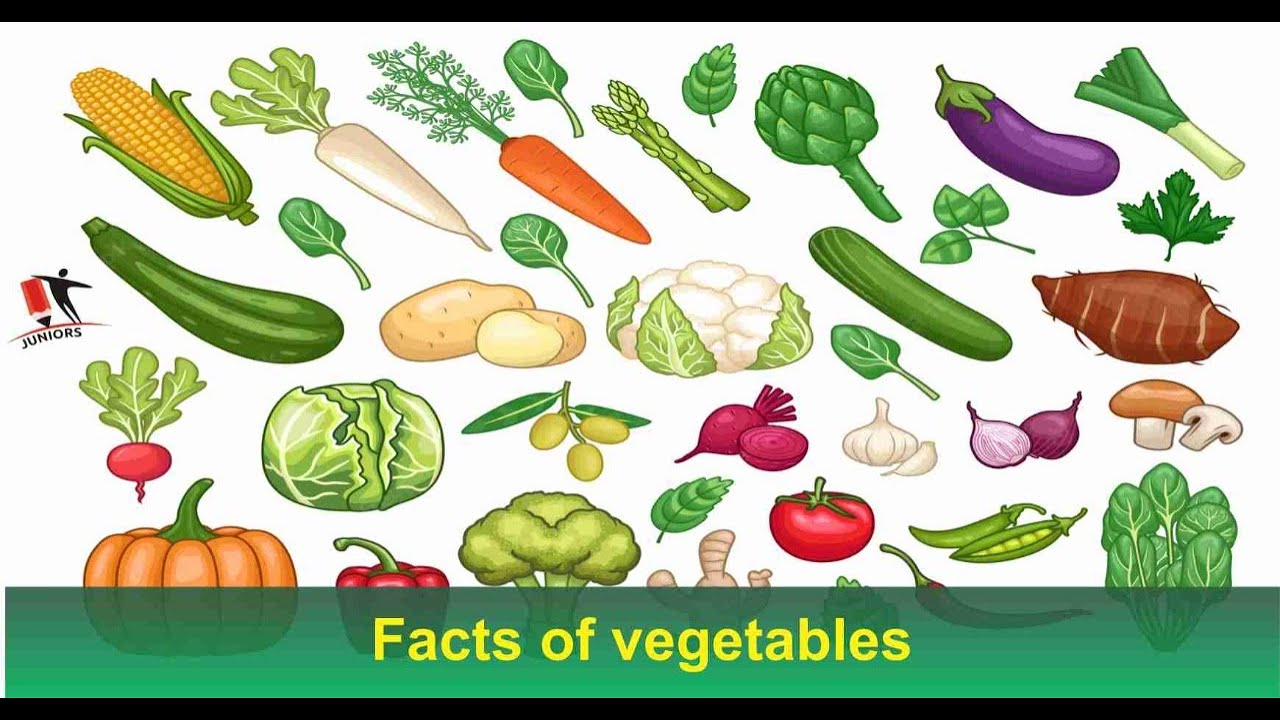 Facts of vegetables - YouTube