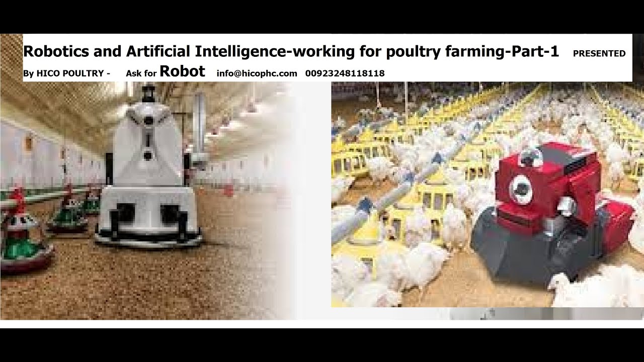 Robotics and Artificial Intelligence-working for poultry farming-Part-1 ...
