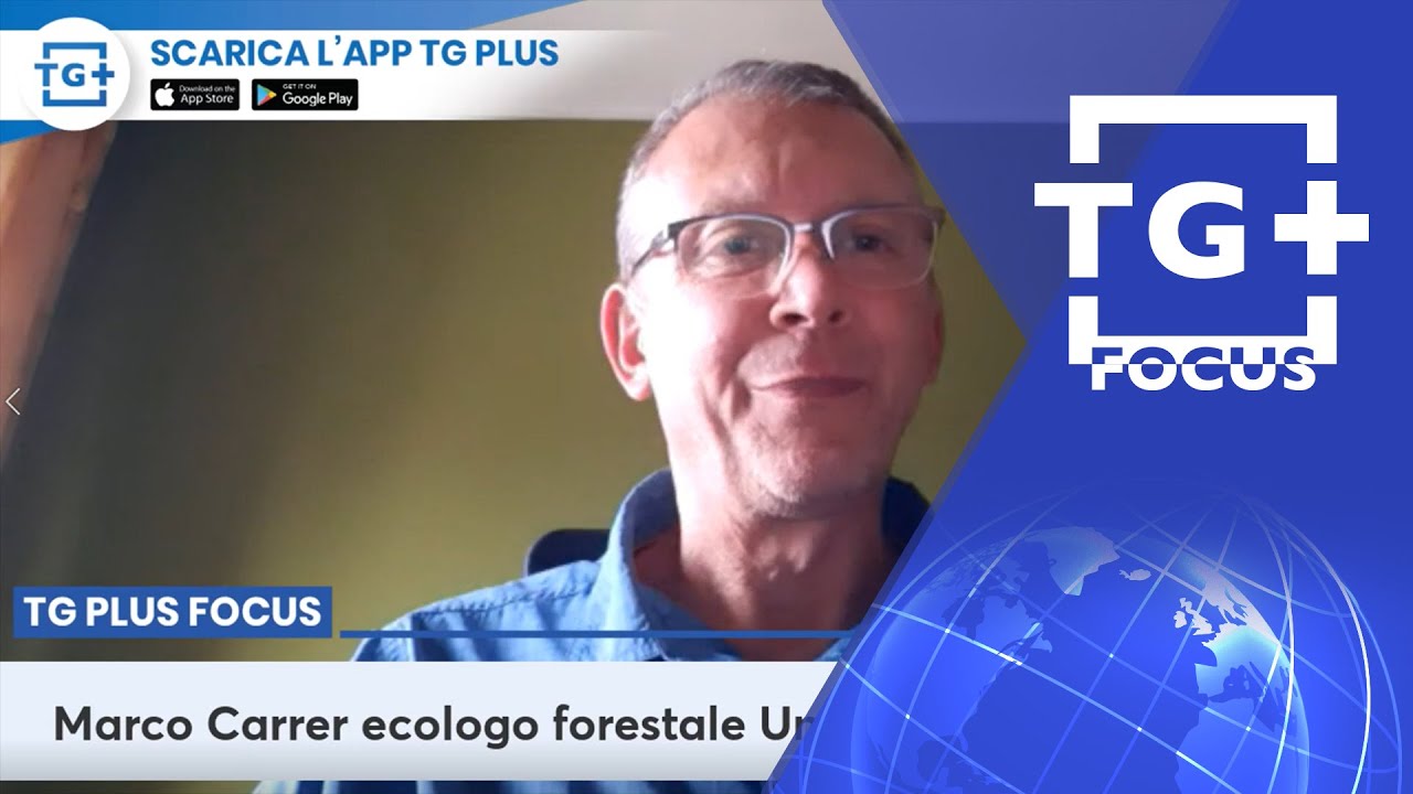 TG Plus Focus Marco Carrer ecologo forestale Unipd - YouTube
