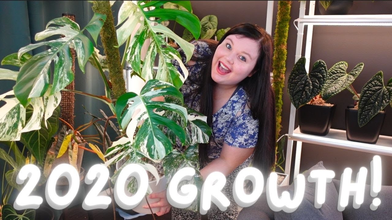 Plant Growth 2020 Before & After - YouTube
