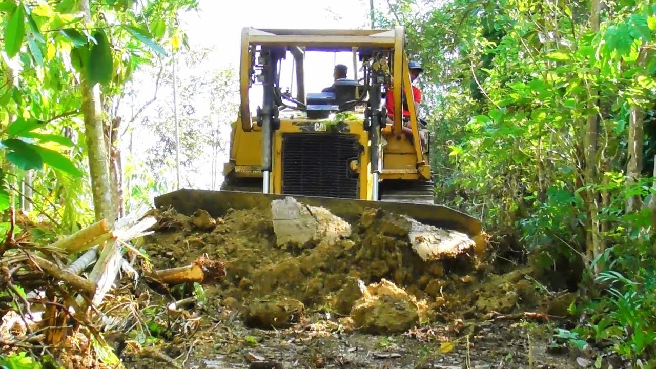 D6R XL Bulldozer Working on Plantations Building Pathways for a ...