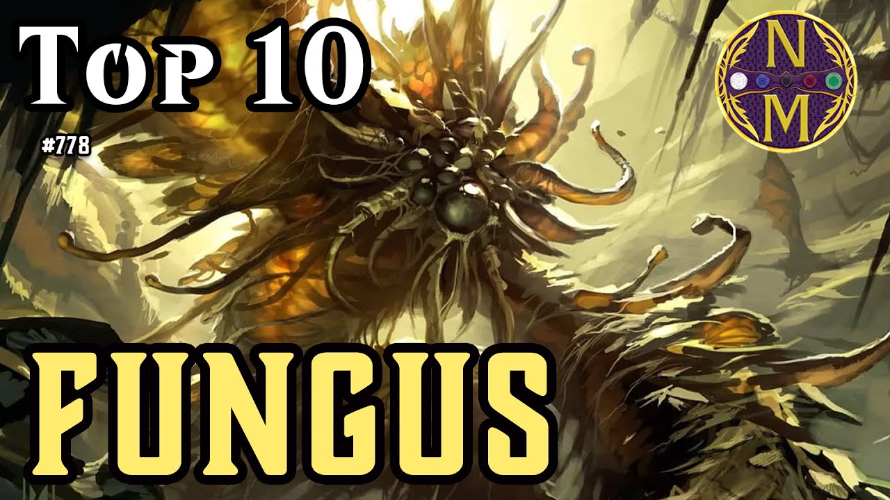 MTG TOP 10: The BEST Fungus Creatures in Magic: the Gathering - YouTube