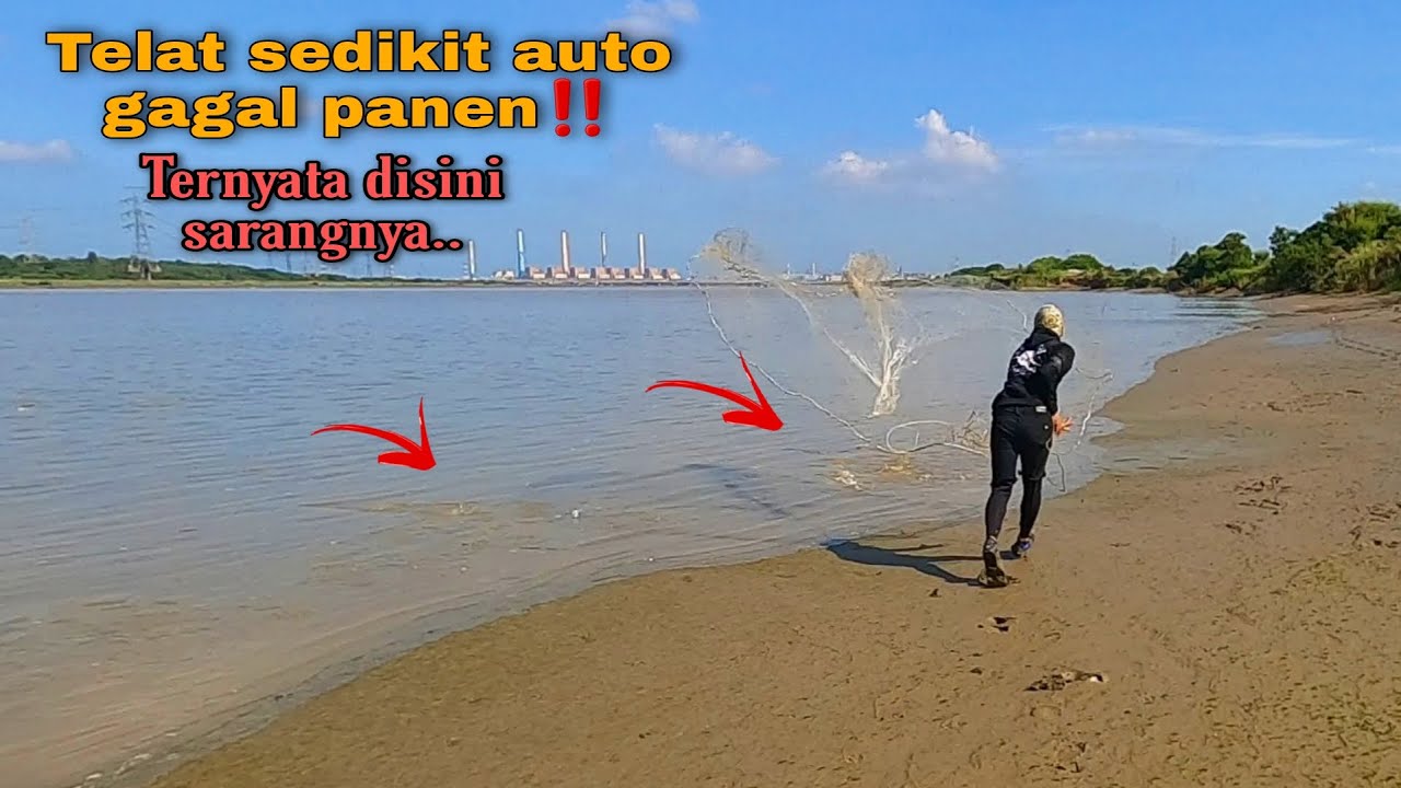 KAGET!!! TEBAR JALA TEPAT DISARANG IKAN BESAR || FISHING NETS - YouTube