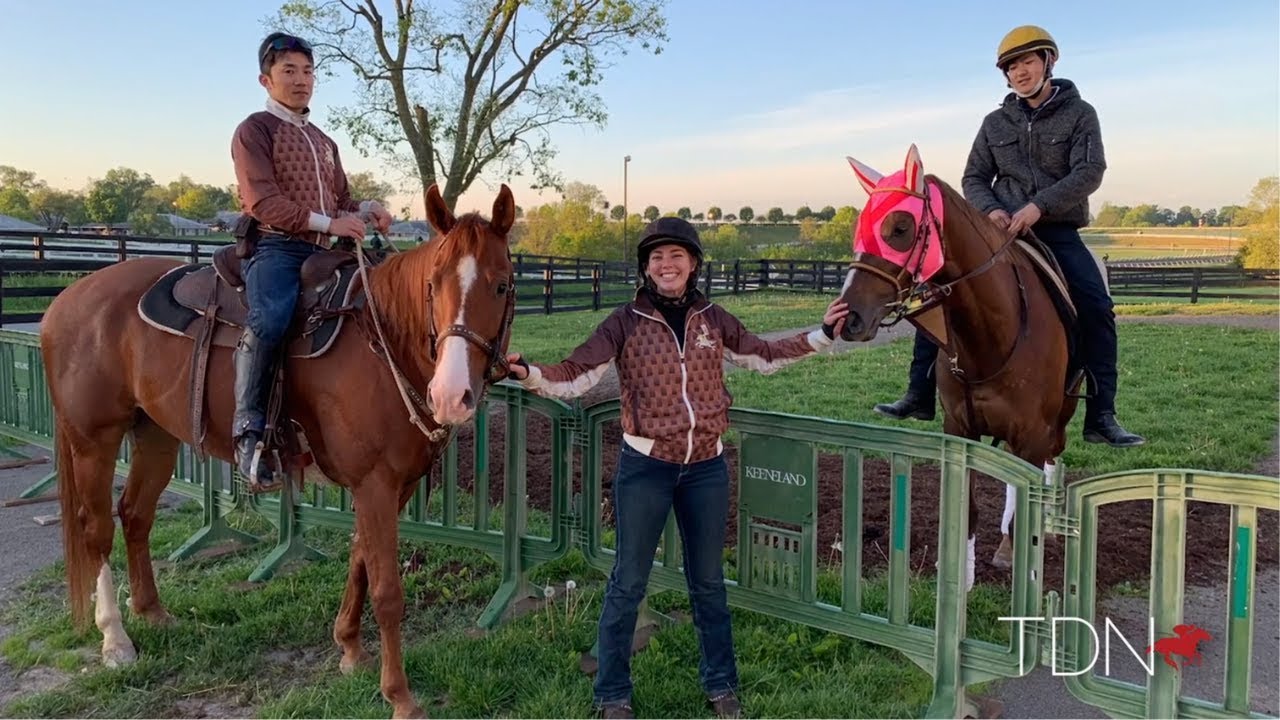 Rescued Horse Helps Master Fencer in His Triple Crown Quest - YouTube
