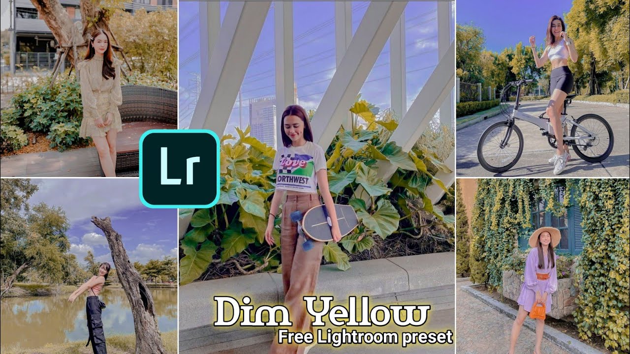 Dim Yellow Preset/Free Lightroom preset/Lr photo editing/new lr preset ...