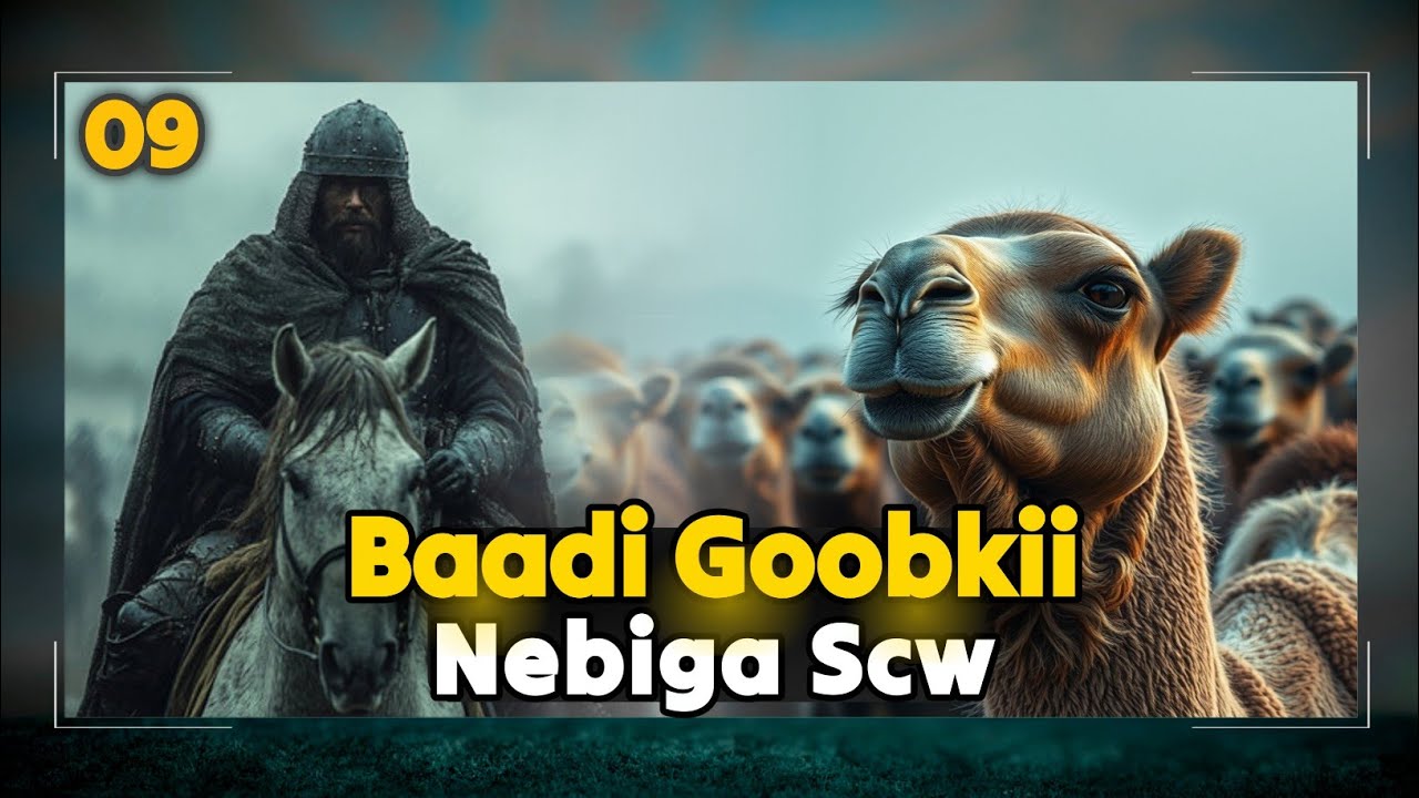 Baadi Goobkii Nabiga Scw | 100 Neef Oo Geel Ah | _____09 - YouTube