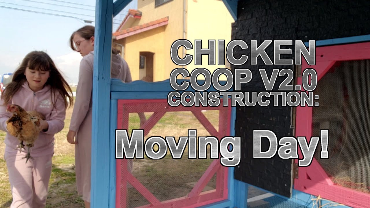 Chicken Coop v2.0: Moving Day! - YouTube