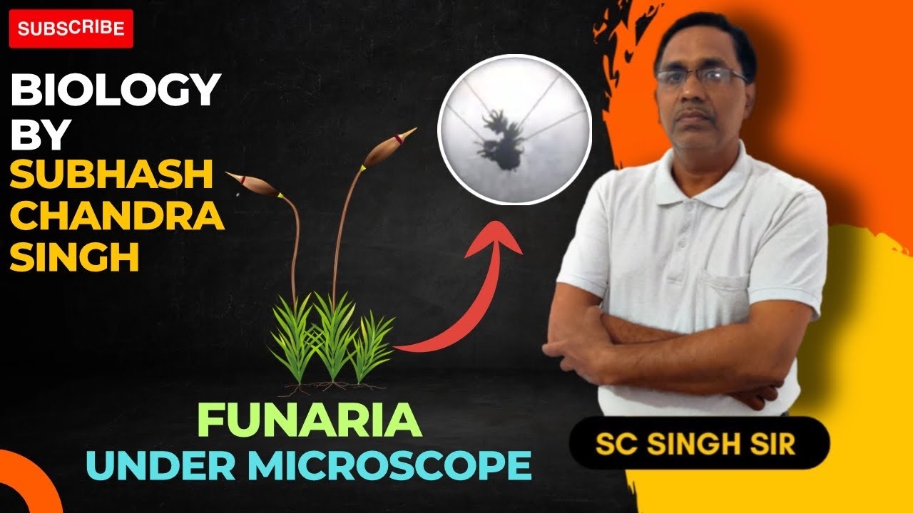 Biology -A field Survey to Collection of Funaria and observation under ...