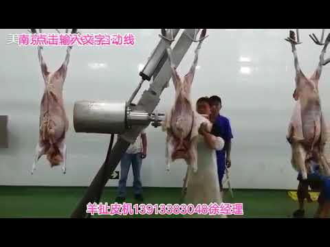 Sheep Dehider - YouTube