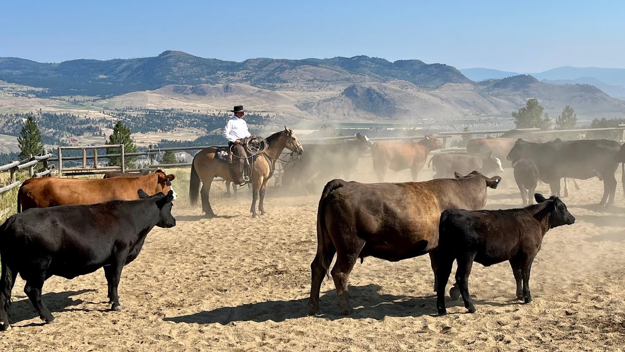The Rock’n Star Ranch Presents Miles Kingdon Workshops in Vaquero ...
