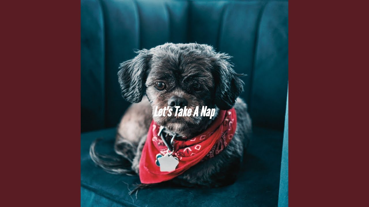 Swanky Moods for Creativity in Fall - YouTube