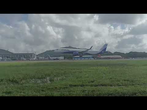 indigo 321 Landing 🛬 | Air India | Indigo | Cathay Pacific Cargo | Waiting for Departure 🛫 | #video