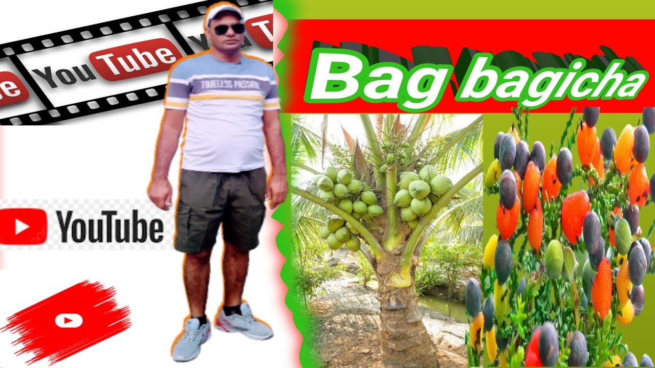 Bag bagicha | garden | bagicha - YouTube