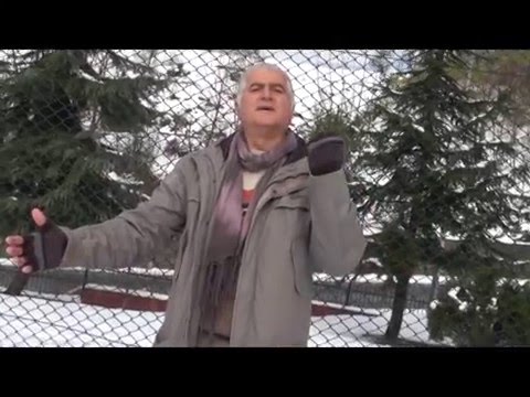 Fevzi Kurtuluş - Hadi Gel