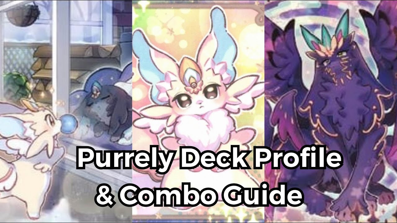 Purrely Deck Profile and Combo Breakdown #yugioh #deckprofile # ...