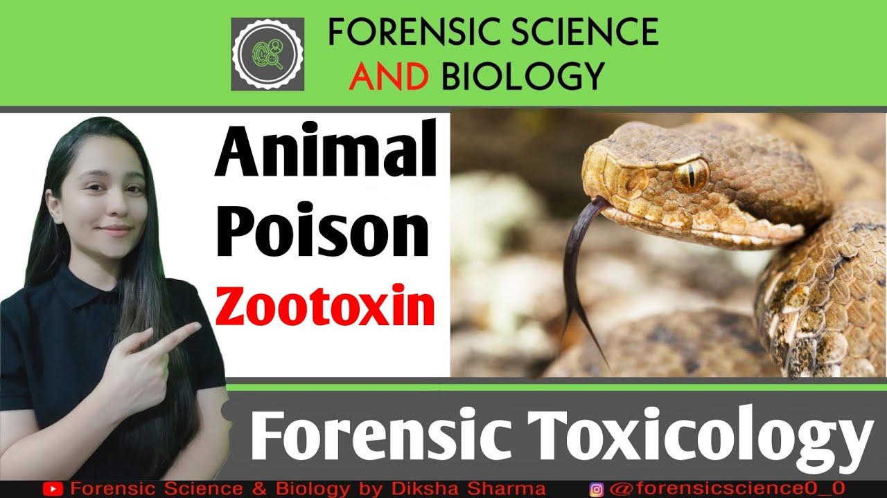 Animal Poison || Zootoxin - YouTube
