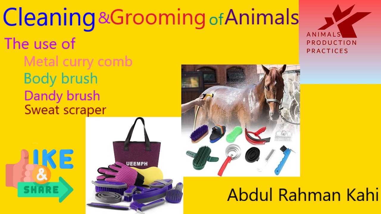 Grooming & Cleaning of the Animals | Care of animals | Animal Husbandry ...