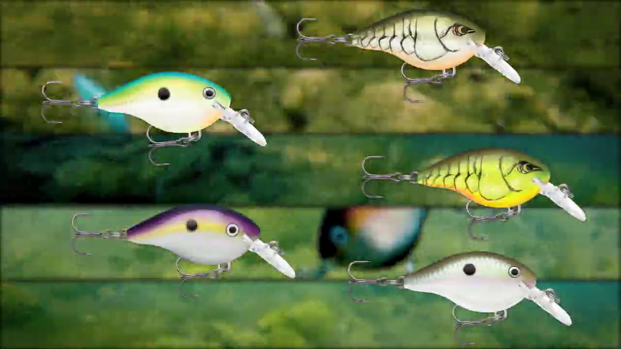 The new Rapala colors revealed! Myself and Jacob Wheeler show how to ...