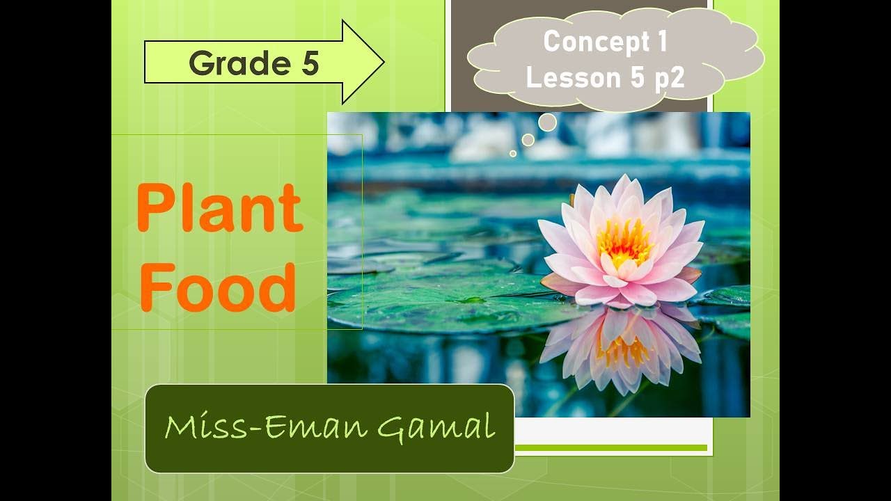 Science Grade 5 | Unit 1 - Lesson 5 p2 - Concept 1 | Plant Food - YouTube